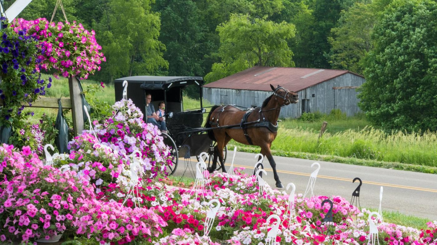 Trails and Charm in Ohio Amish Country | Holmes County Chamber of Commerce